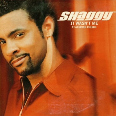 File:Shaggy - It Wasn't Me.jpg - Now That's What I Call Music Wiki